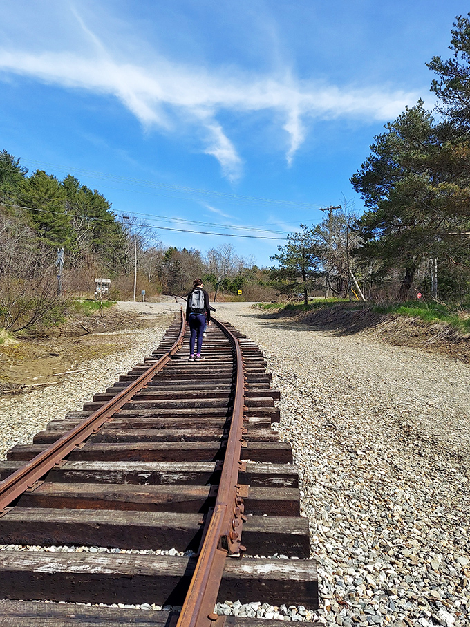 The Belfast Rail Trail follows old tracks toward new adventures, where every step tells a different story.