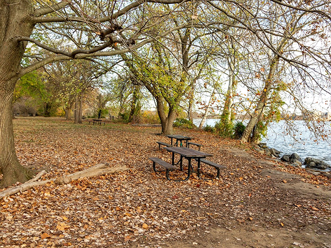 Fall leaves carpet the ground at Bellhaven Nature Area, where riverside picnic tables await contemplative souls and sandwich enthusiasts alike.