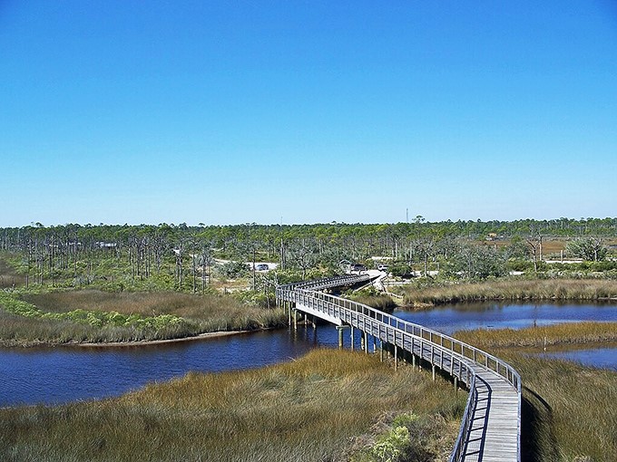 Big Lagoon State Park's boardwalks wind through coastal marshlands, offering the rare opportunity to explore nature without sacrificing your pedicure or risking alligator encounters.