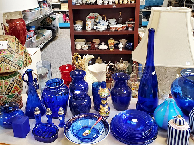 The blue glass collection: a symphony in cobalt. Like finding a piece of Mediterranean sky tucked away in Cheyenne.