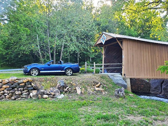 The brilliant blue Mustang provides a striking contrast to the weathered wood, like pairing a vintage wine with a surprisingly perfect modern cheese.