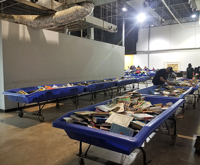 Where books go for their second act. These blue literary lagoons contain everything from forgotten bestsellers to someone's college chemistry textbook.