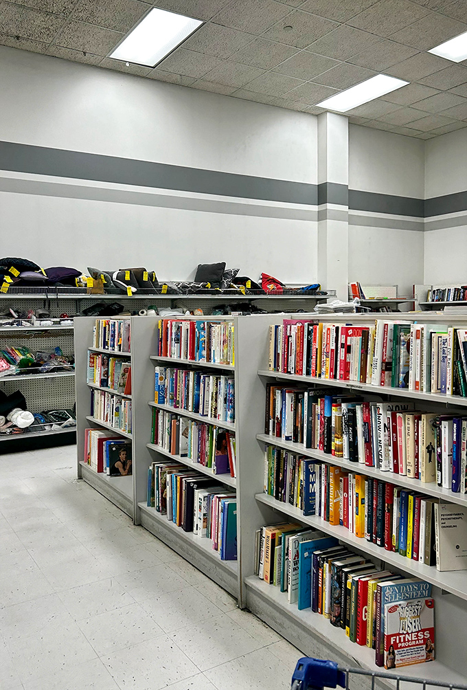 Books upon books upon books&mdash;a library without late fees. From self-help to romance novels with suspiciously similar covers, literary adventures await at every turn. 