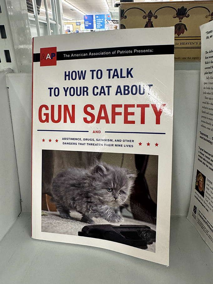 Because everyone needs to know how to discuss firearm safety with their feline companions. Thrift stores: where the truly unexpected becomes the utterly unforgettable.