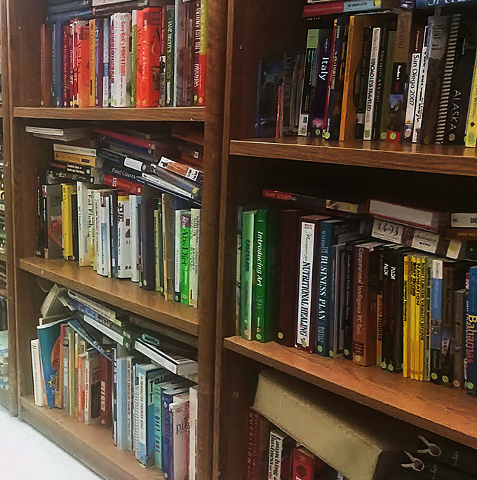 Bookshelves overflow with literary treasures, where bestsellers mingle with forgotten classics in democratic disorder.