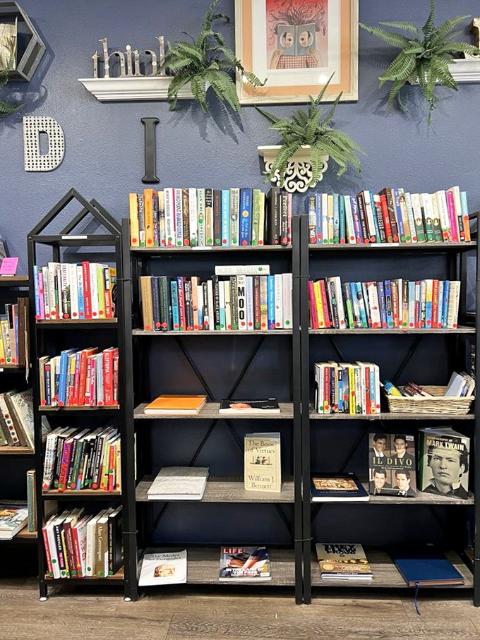 The book section: where literary treasures cost less than downloading them, and come with that irreplaceable old-book smell bonus.