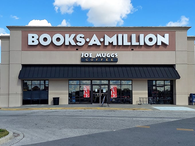 Books-A-Million paired with Joe Muggs Coffee creates that perfect "lose track of time" combination where one cup turns into three and suddenly it's dinner time.