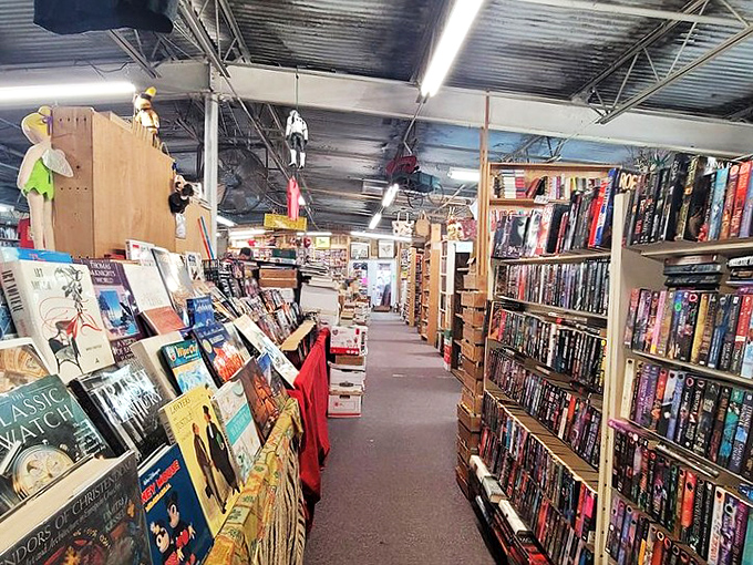 Book aisles that feel like libraries without late fees. The perfect place to discover that out-of-print novel you've been hunting since 1998.