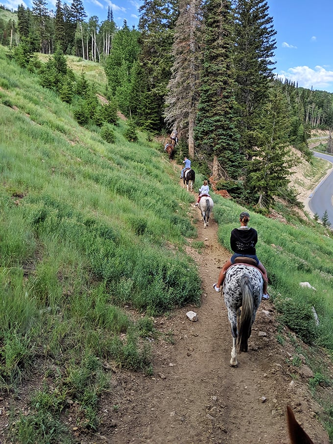 Horseback riding trails wind through aspen groves and mountain meadows, offering perspective that's worth every penny of the surprisingly reasonable rates.