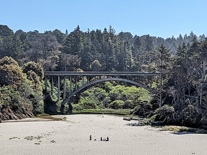 This elegant arch bridge spans more than just water&mdash;it connects modern visitors to the wild California that existed before highways.