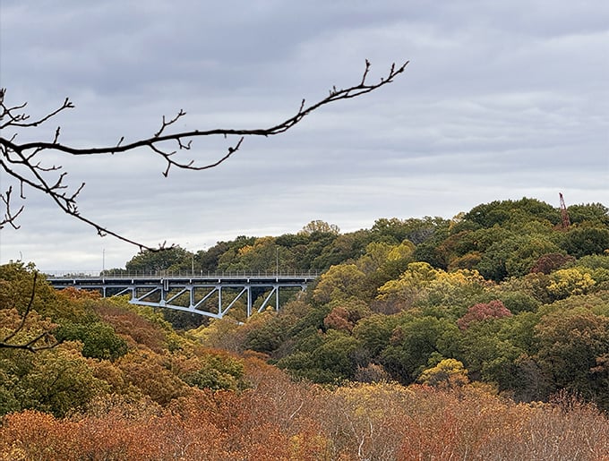 Engineering meets autumn splendor as this bridge spans the colorful valley. Human ingenuity framed by nature's seasonal masterpiece.