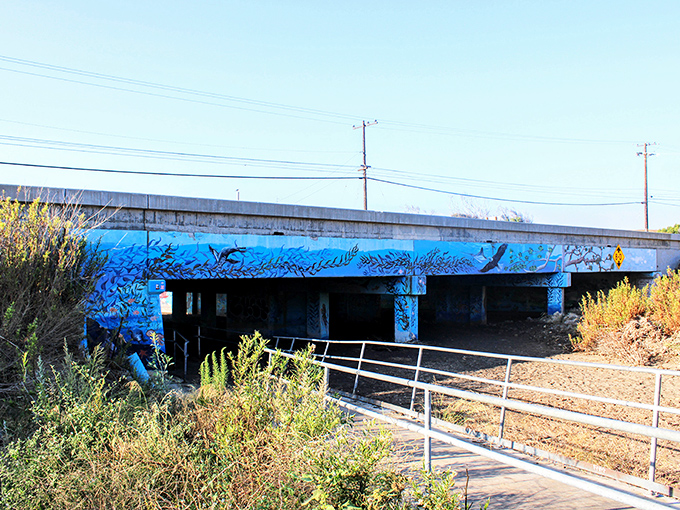 The blue underpass: where street art transforms concrete into an underwater fantasy. Malibu's version of the Sistine Chapel ceiling, just add surfboards.
