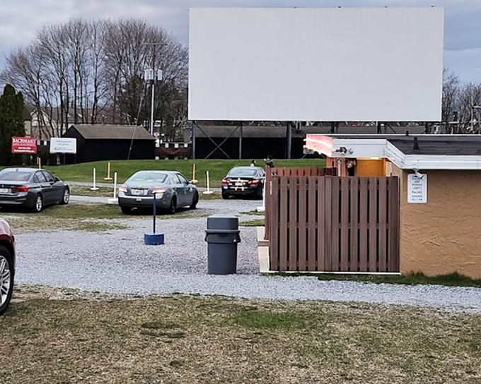 The view from the concession area shows exactly why people keep coming back year after year.