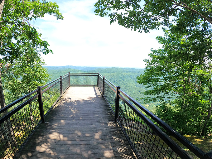 The Bullock Overlook boardwalk invites you to literally walk into the sky. One step closer to feeling like you're flying over Kentucky's green canopy.