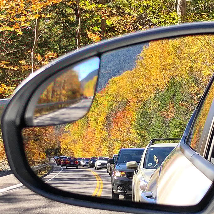 Fall foliage traffic: the only traffic jam where you're actually grateful for the delay. Each slow mile is another feast for the eyes.