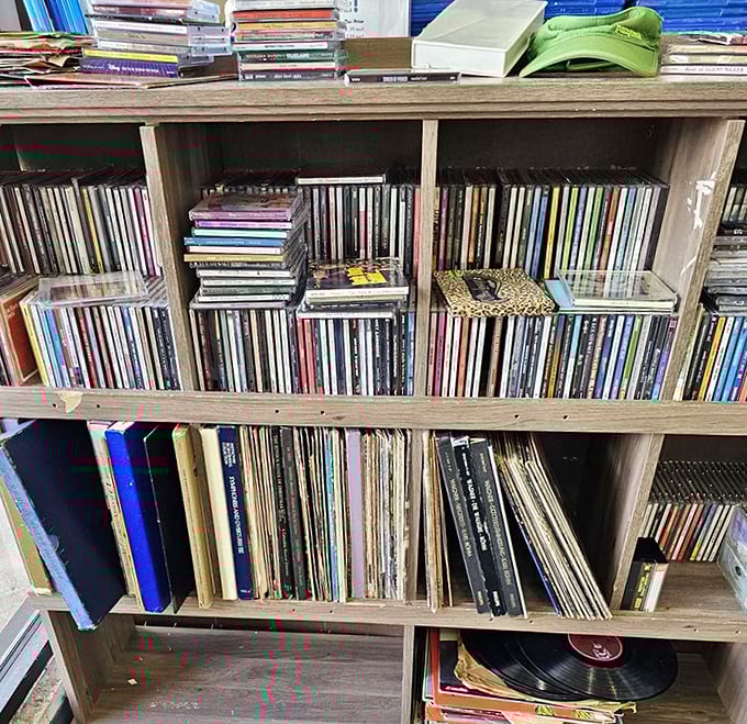 Vinyl and CD heaven &ndash; where forgotten albums get their encore performance and music lovers score soundtracks for island living.