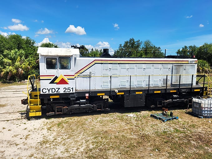The CYDZ 251 diesel locomotive wears its industrial colors with pride, a mechanical workhorse now enjoying retirement in the Florida sunshine.