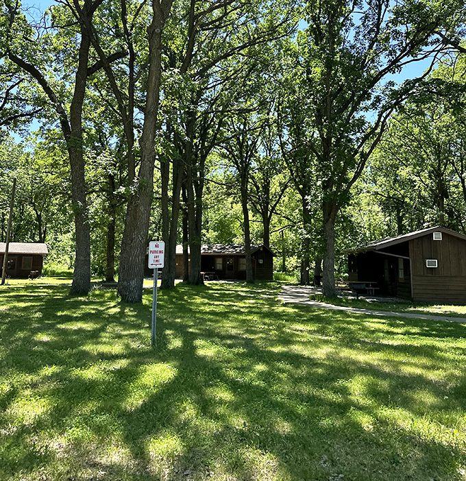 Cozy cabins nestled among towering trees offer shelter without sacrificing the wilderness experience&mdash;like camping with training wheels and actual beds.