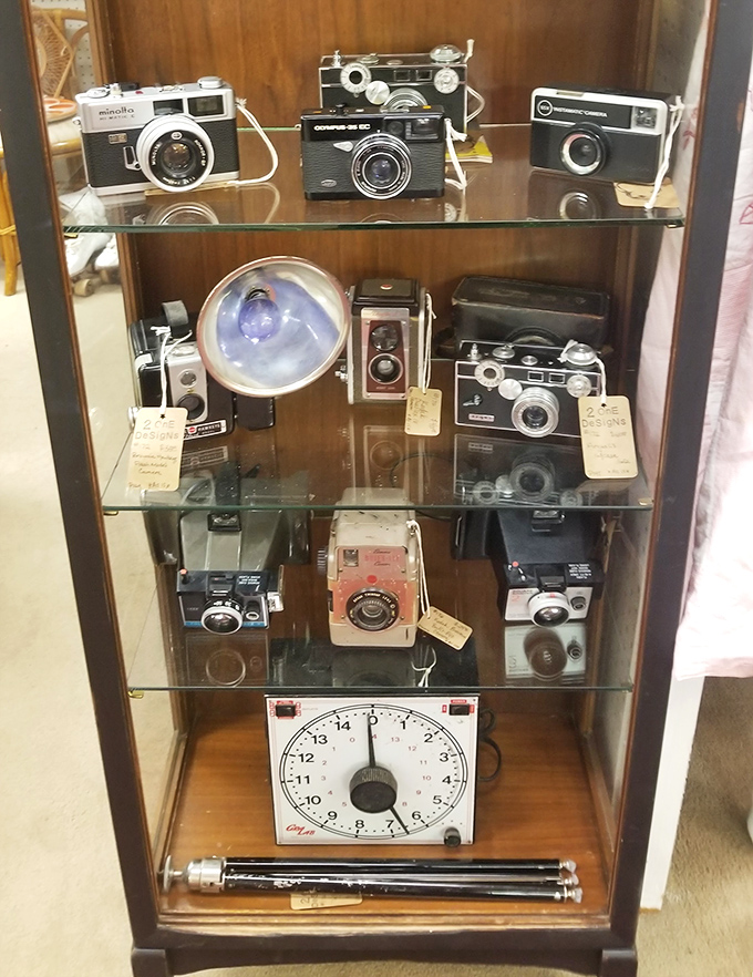 A cabinet of photographic curiosities where vintage cameras wait for their next adventure, having already captured countless memories on film.