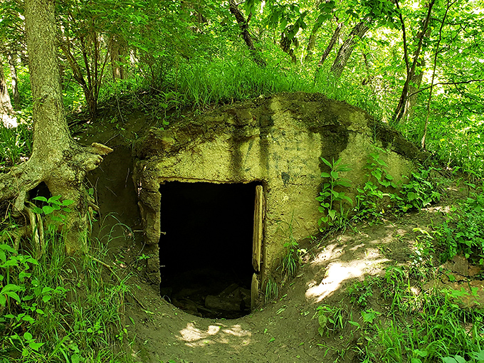 Nature's secret hideaway looks straight out of a fairy tale. This earth-sheltered structure could house hobbits or serve as a wilderness emergency shelter.