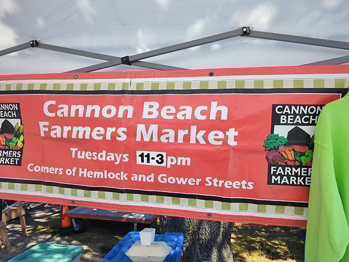 Farm-to-beach goodness every Tuesday. The Cannon Beach Farmers' Market brings local bounty to town, perfect for picnic provisions or vacation cooking.