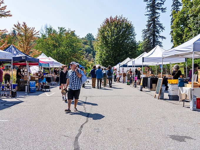The farmers' market transforms an ordinary parking lot into a vibrant community crossroads where food connects neighbors better than any social network.
