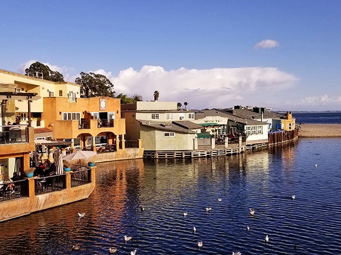 Waterfront dining in Capitola isn't just about the food&mdash;it's dinner theater where seagulls, paddleboarders, and the setting sun all compete for your attention.