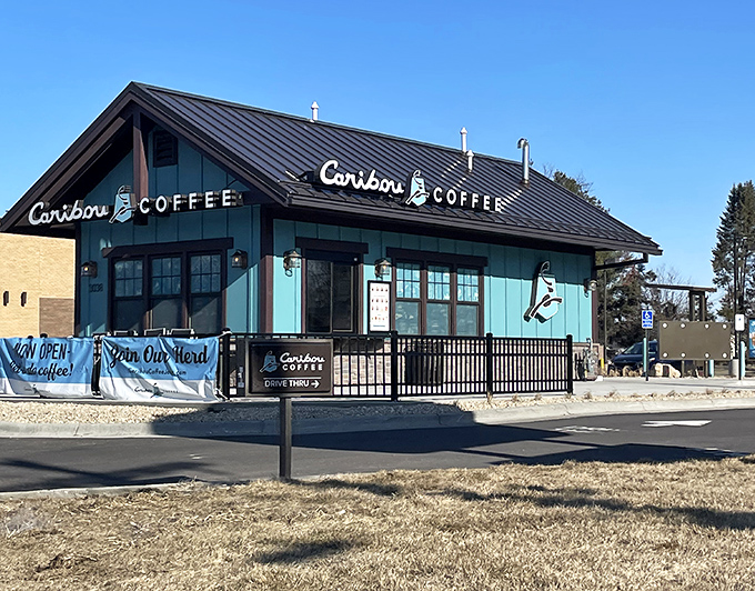 Caribou Coffee brings Minnesota's coffee culture to Red Wing, where locals debate the Vikings' chances while warming their hands on steaming mugs.