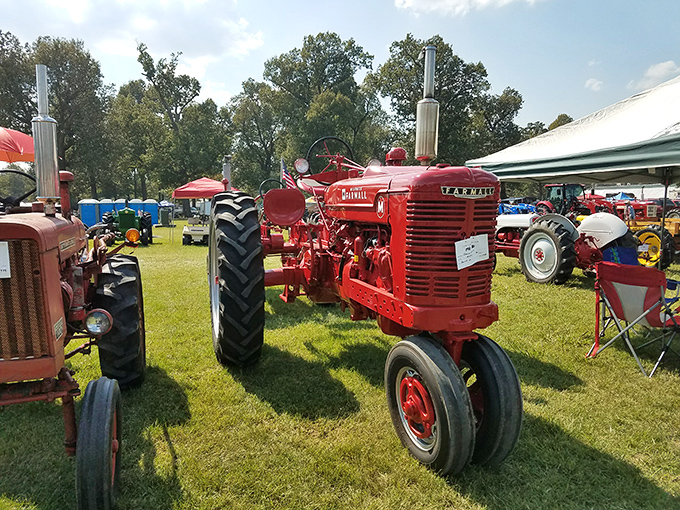 Vintage tractors gather like old friends reuniting, proving nostalgia looks good in any decade, especially yours.