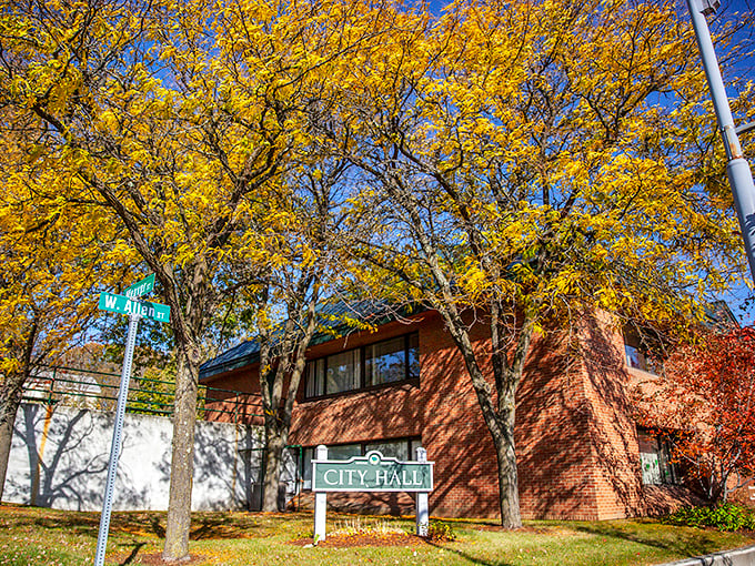 City Hall sits beneath autumn's golden canopy, looking official yet approachable like a friendly neighborhood government should be. 