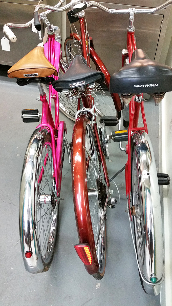 The bicycle trinity: Schwinn, style, and nostalgia on wheels. These aren't just bikes&mdash;they're time machines to summers before smartphones existed.