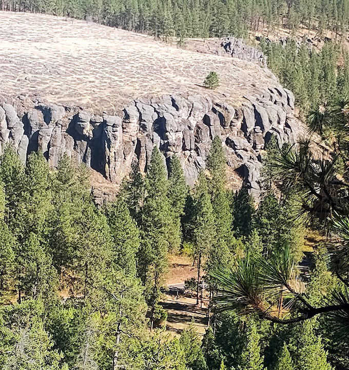 Basalt columns standing at attention – geological wonders that have been perfecting their posture for millions of years.