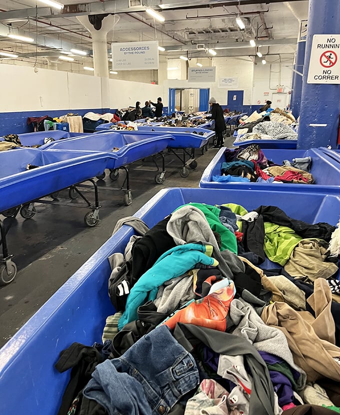 Organized chaos at its finest. Each bin contains potential gems, while shoppers maintain the unspoken etiquette of the treasure hunt.