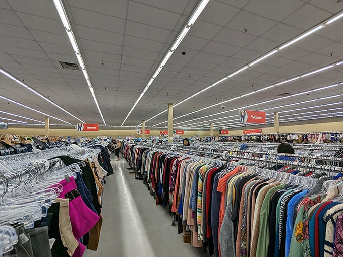 The clothing forest, where fashion treasures hide among everyday items. That vintage aloha shirt is calling your name from somewhere in this textile jungle.