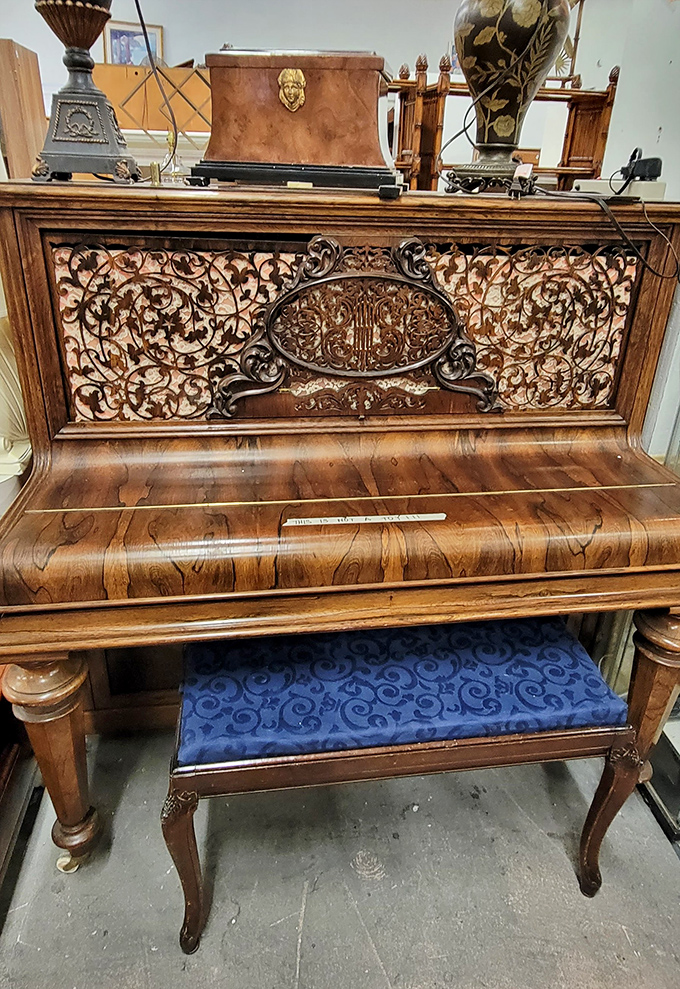 Pillow paradise! A textile rainbow of comfort where leopard print mingles with florals in perfect thrifted harmony.