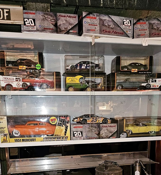 Miniature automotive dreams parked behind glass. Every dad's childhood wish list preserved in die-cast detail and collector's packaging.