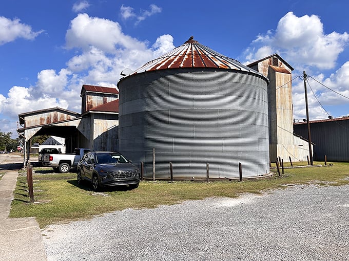 The Conrad Rice Mill's industrial silhouette stands as a monument to agricultural heritage and possibly the world's largest game of ring toss.