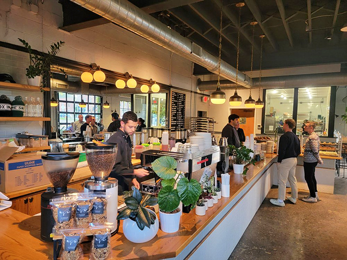 Behind the counter choreography. Like watching a well-rehearsed ballet, these bakers transform simple ingredients into the pastries that fuel Columbus mornings.