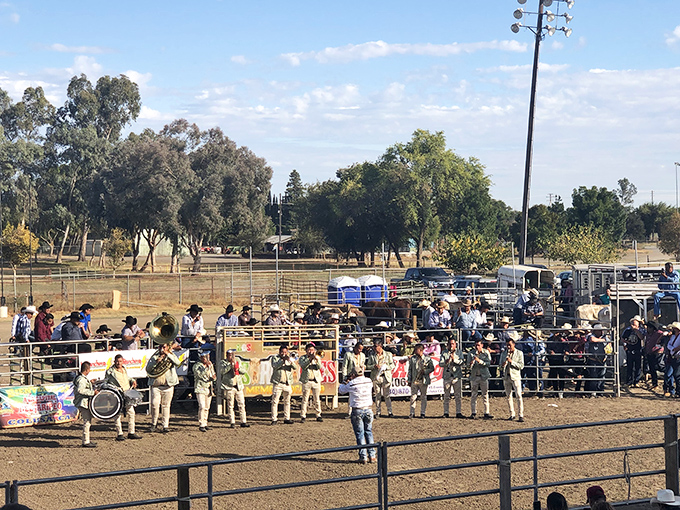 The Colusa County Fair brings the community together with rodeo events that celebrate the region's agricultural heritage and western traditions.