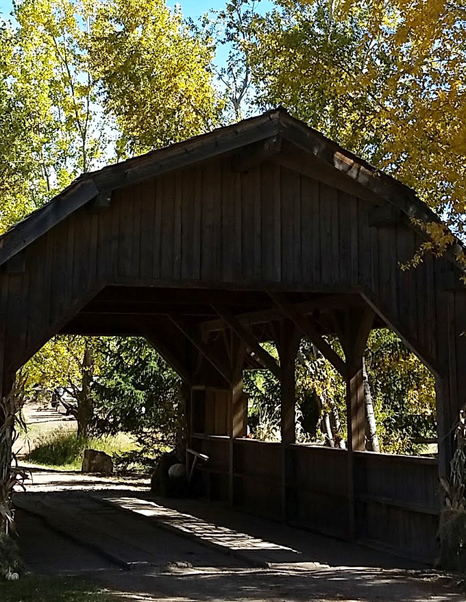 This covered bridge adds rustic charm to parks where autumn colors rival any New England postcard.