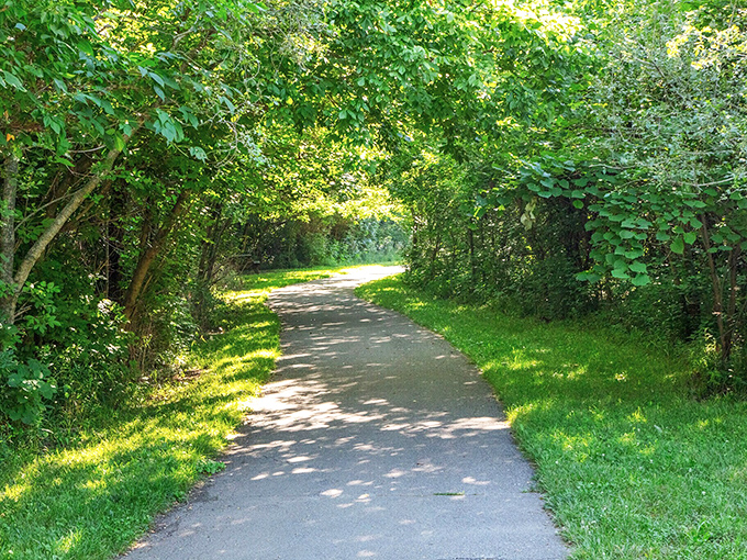 Creekside Nature Park offers shaded pathways where dappled sunlight plays hide-and-seek through the leafy canopy.