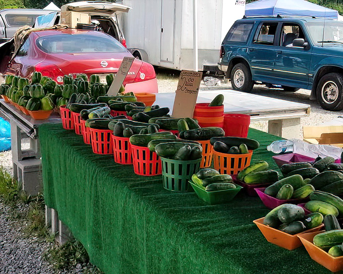 Farm-fresh cucumbers lined up like green soldiers&mdash;proof that Trader Jack's isn't just about vintage treasures but garden bounty too.