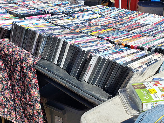 Analog entertainment in a digital world. These DVDs are like archaeological artifacts from the not-so-distant past.