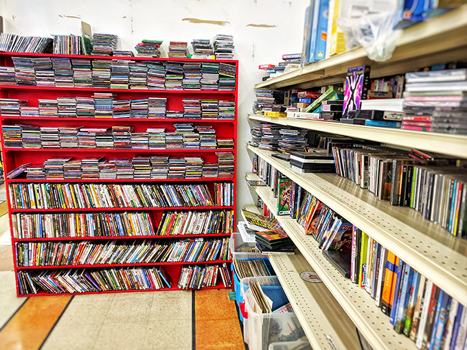 Media shelves packed tighter than a hipster's vinyl collection&mdash;where forgotten DVDs and CDs wait for their cultural renaissance or your next nostalgic movie night.