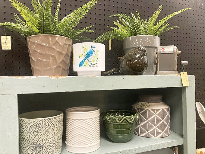 These ceramic planters and vases are just begging to showcase your houseplants&mdash;or hide the fact that you can't keep them alive.