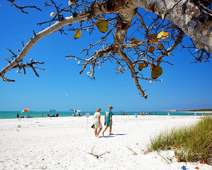 Naples beaches frame the Gulf with powdery white sand and swaying sea oats&mdash;Mother Nature's way of showing off what she can do with perfect conditions.