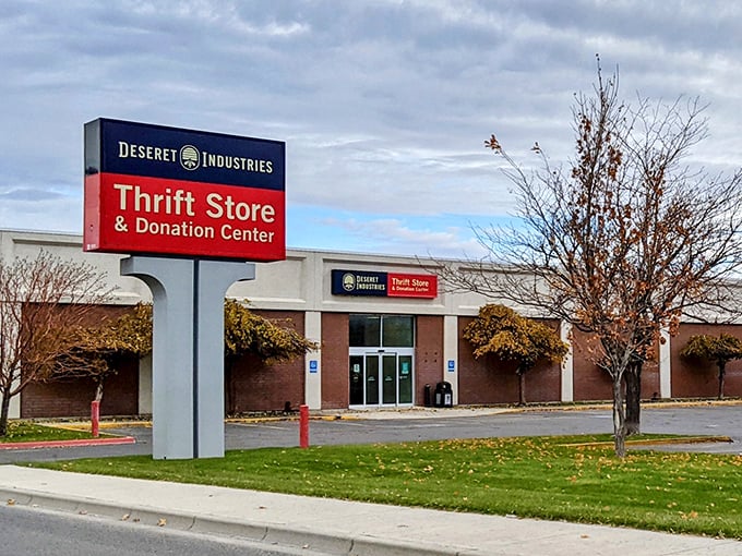 Thrift store treasures await at Deseret Industries, where one person's castoffs become another's vintage finds in the circular economy of small-town life.