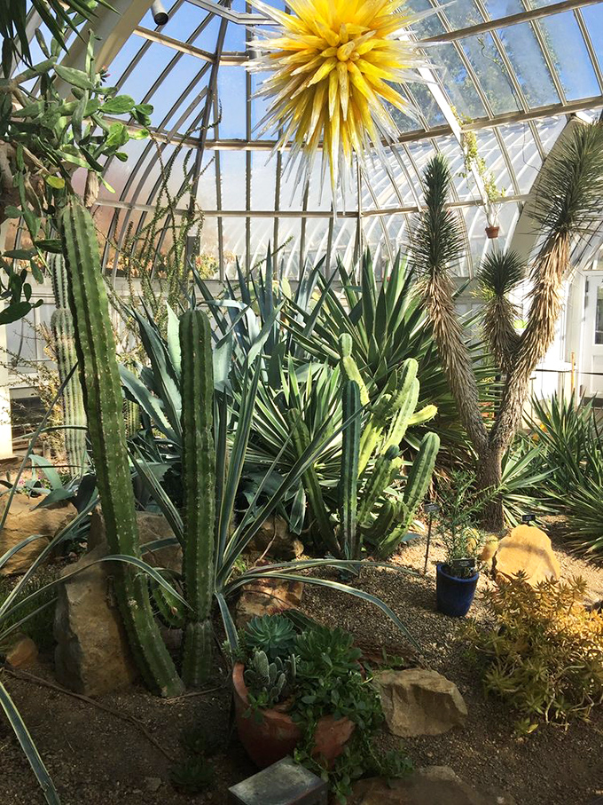 The Desert Room transports you to the American Southwest without the sunburn or need to check your shoes for scorpions.