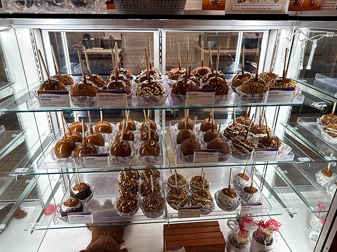 Caramel apples stacked with military precision behind glass&mdash;desserts that require both strategy and napkins to properly enjoy.