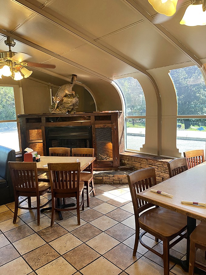 Sunlight streams through curved windows in this dining area where taxidermy keeps watch over your meal. Rustic elegance without a hint of pretension.